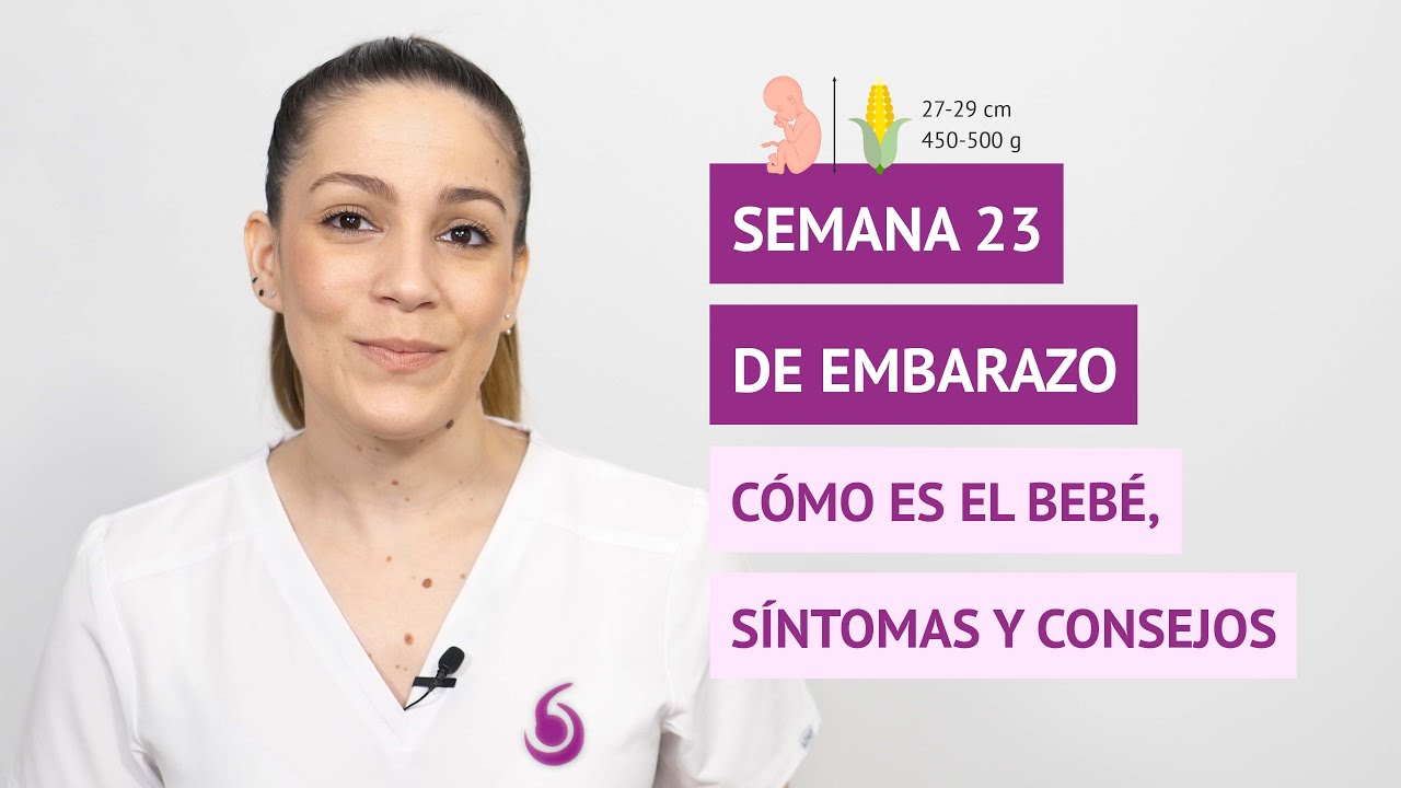 Semana 23 de embarazo: desarrollo del bebé y recomendaciones - YouTube