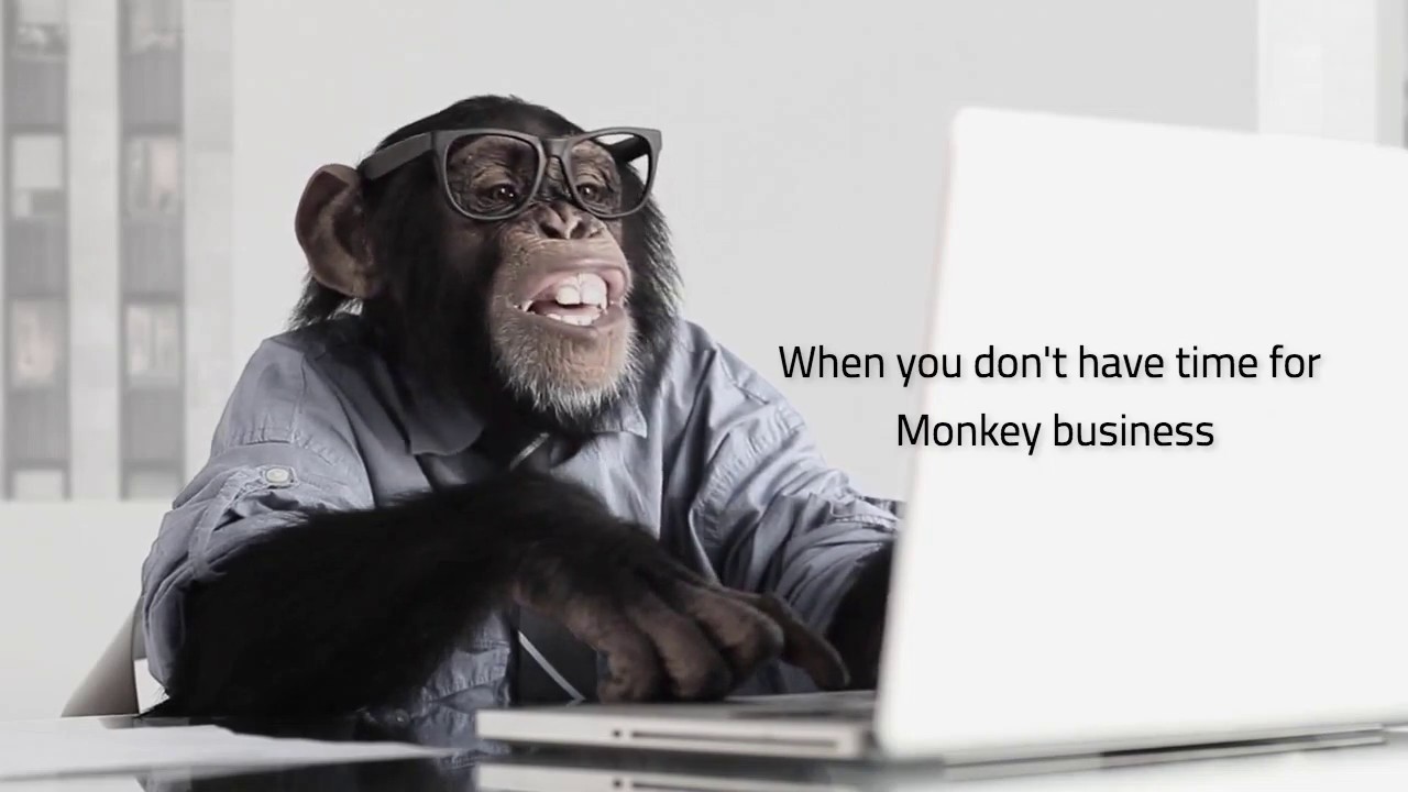 Computer Repair Monkey Business My Discount Tech - YouTube