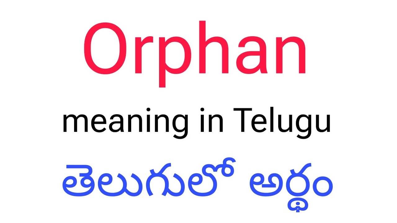 Orphan meaning in telugu || Orphan తెలుగులో అర్థం || Orphan telugu ...