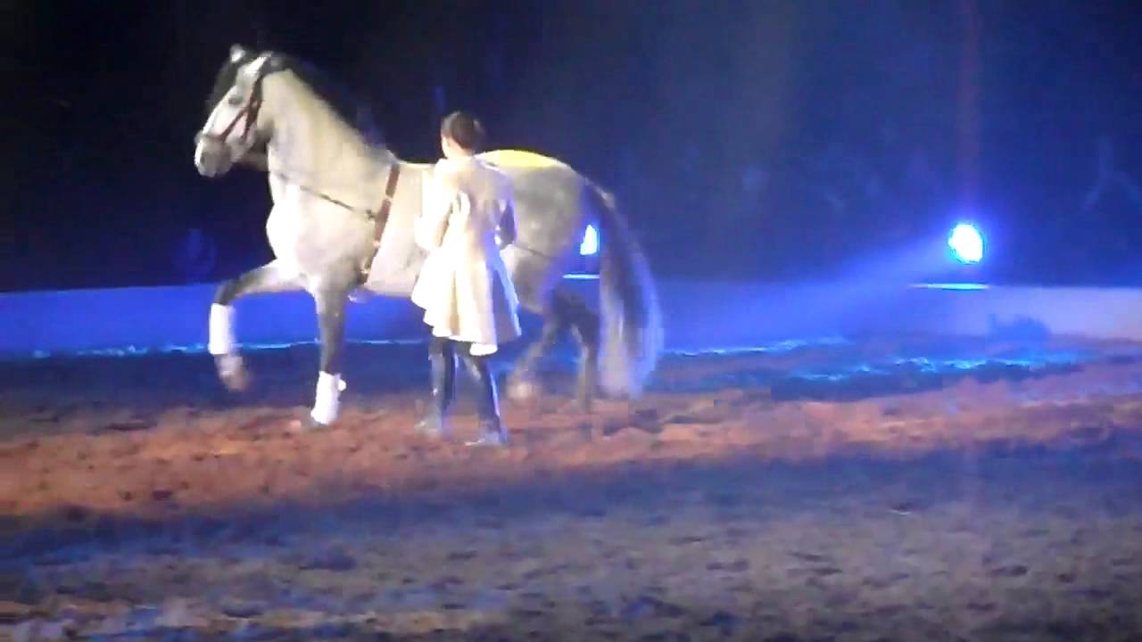 Apassionata London 2012 - YouTube