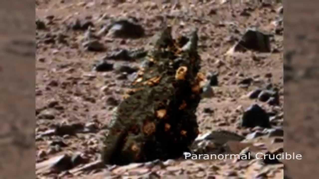 Monster Worm Found On Mars? - YouTube