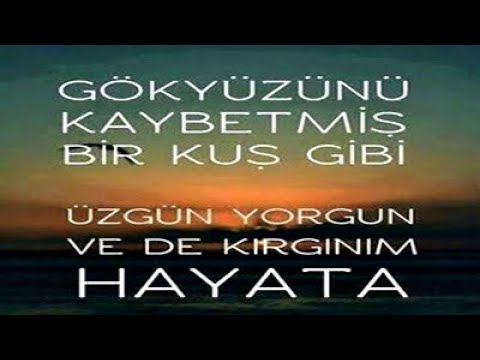 Kırgınım Sana Hayat '''💔''Ben hiçbir zaman yalnız kalmadım , hep beş kişiydik-Ben ve dört duvar ”