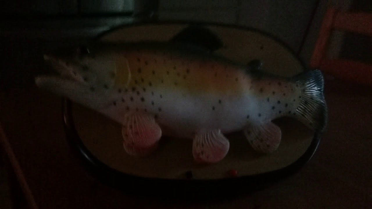 This is my singing fish rocky the rainbow trout - YouTube