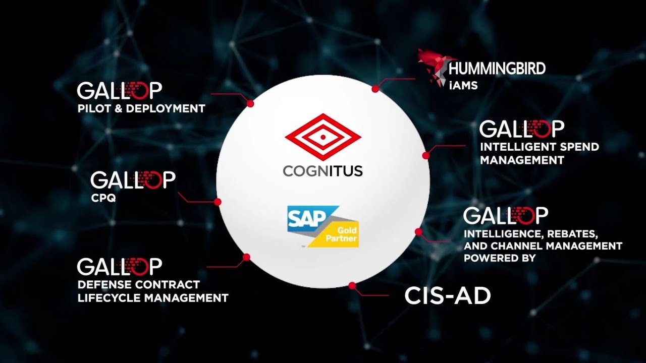 Conoce a Cognitus | Tu Socio de Negocios para la Transformación Digital ...