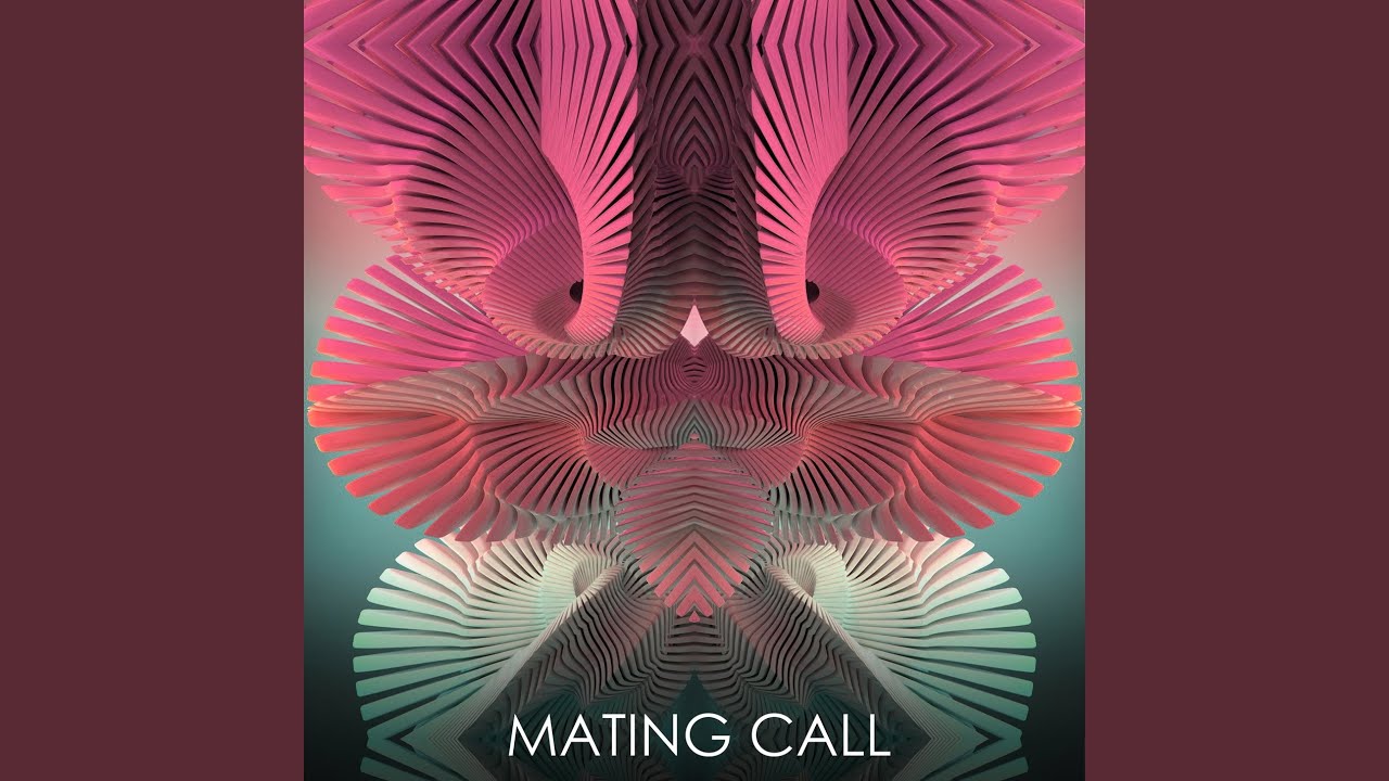 Mating Call - YouTube