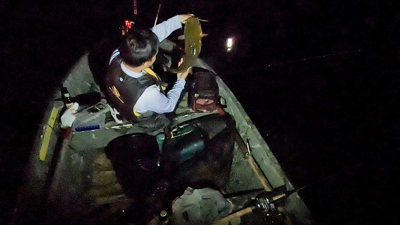 First Time Flathead Catfishing- PB's were broken! | Wisconsin Fishing ...