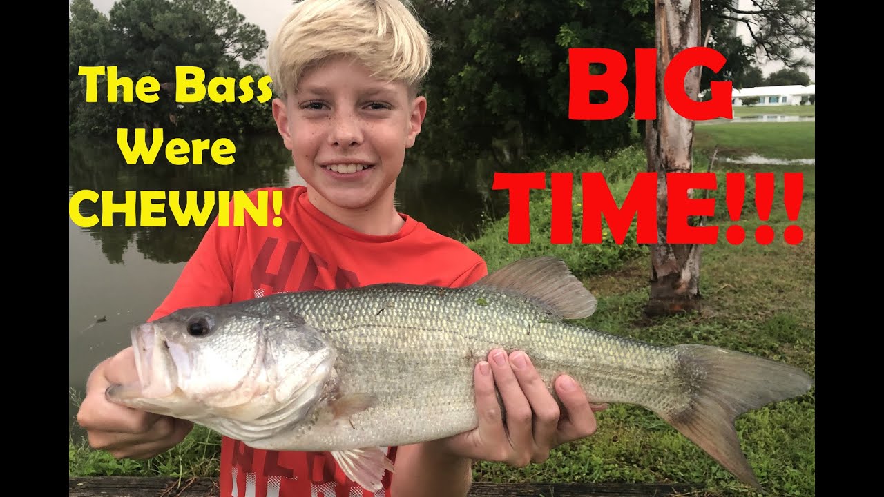 Bass on FIRE after a massive rain in Florida! #bass #bassfishing - YouTube