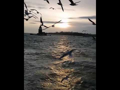 Kız Kulesi Maiden Tower Gün Batımı