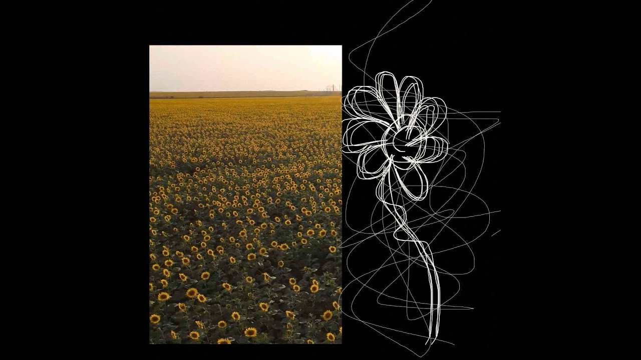 Nature Preset Collection (Porter Robinson Inspired Serum Presets ...