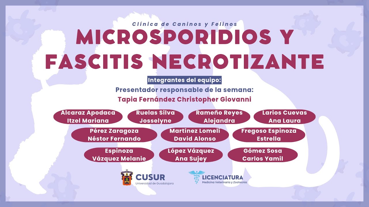 MICROSPORIDIOS Y FASICITIS NECROTIZANTE - YouTube