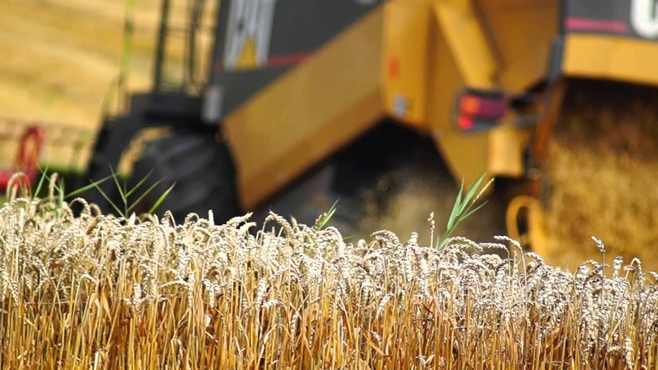 CAT Lexion 460 - Sezon 2013 - YouTube