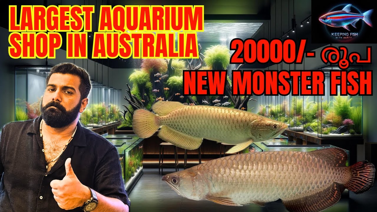 20000/- രൂപ കൊടുത്തു മേടിച്ച Monster Fish | largest Aquarium shop in ...