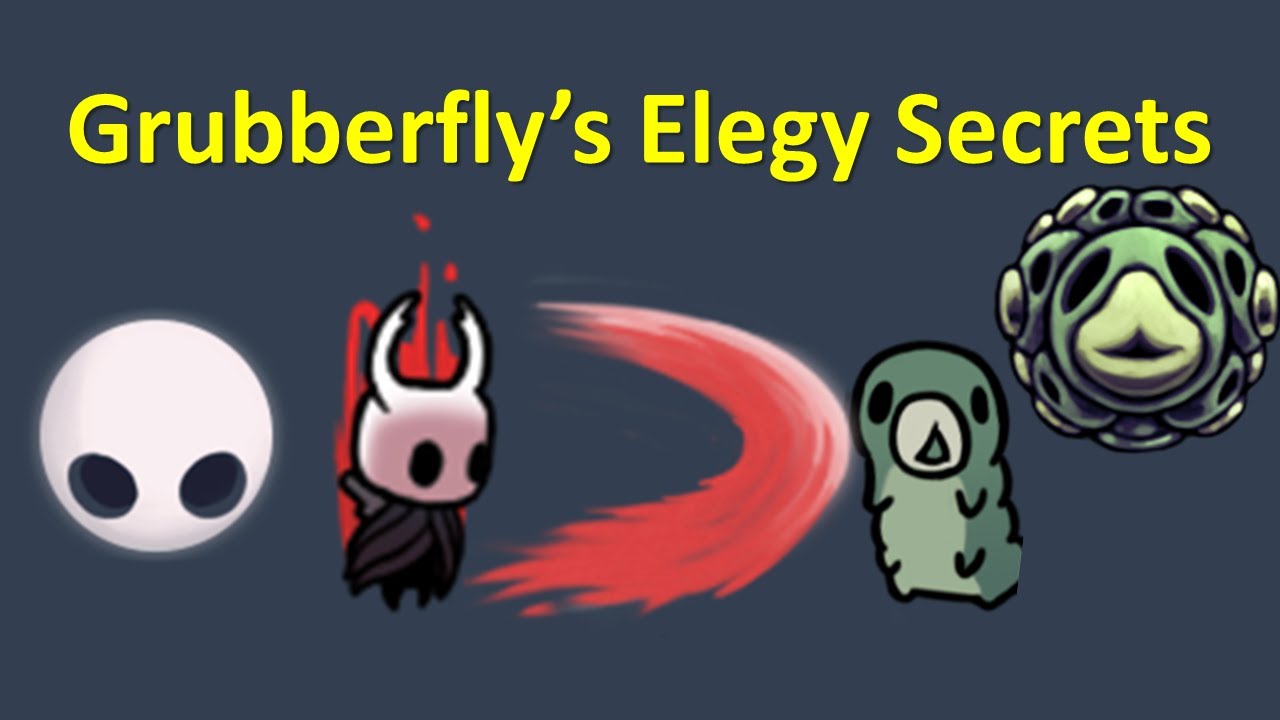 HOLLOW KNIGHT - Grubberfly's Elegy Interactions - YouTube