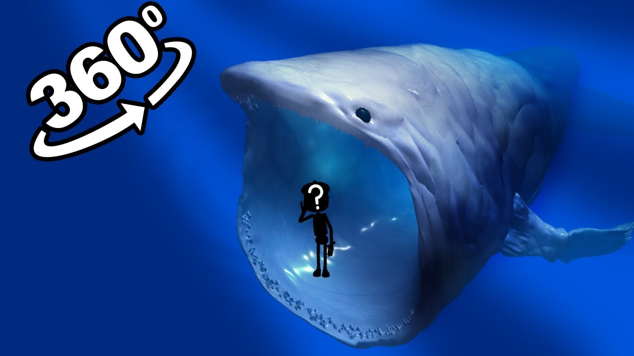 360° VR What is in THE BLOOP! - YouTube