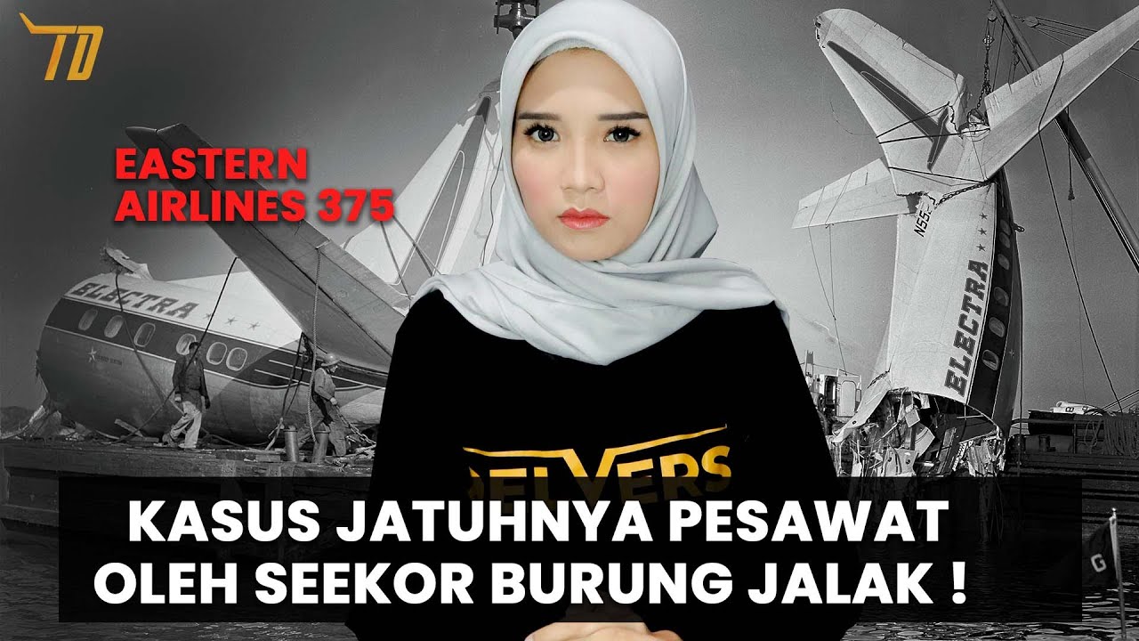 KASUS JATUHNYA PESAWAT OLEH SEEKOR BURUNG JALAK ! Eastern Airlines 375 ...