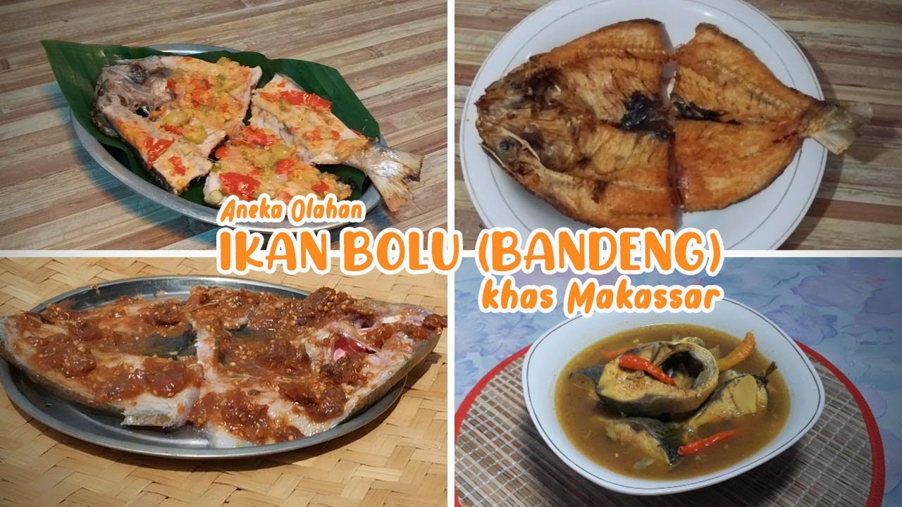 Aneka Olahan Ikan Bolu (Bandeng) ala Makassar - YouTube