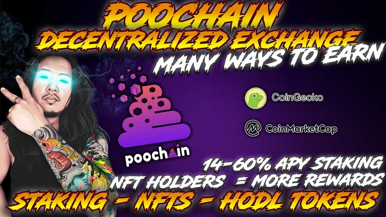 LONG TERM INVESTMENT | POOCHAIN REVIEW + OTHER PROJECTS | DIAMOND HAND ...