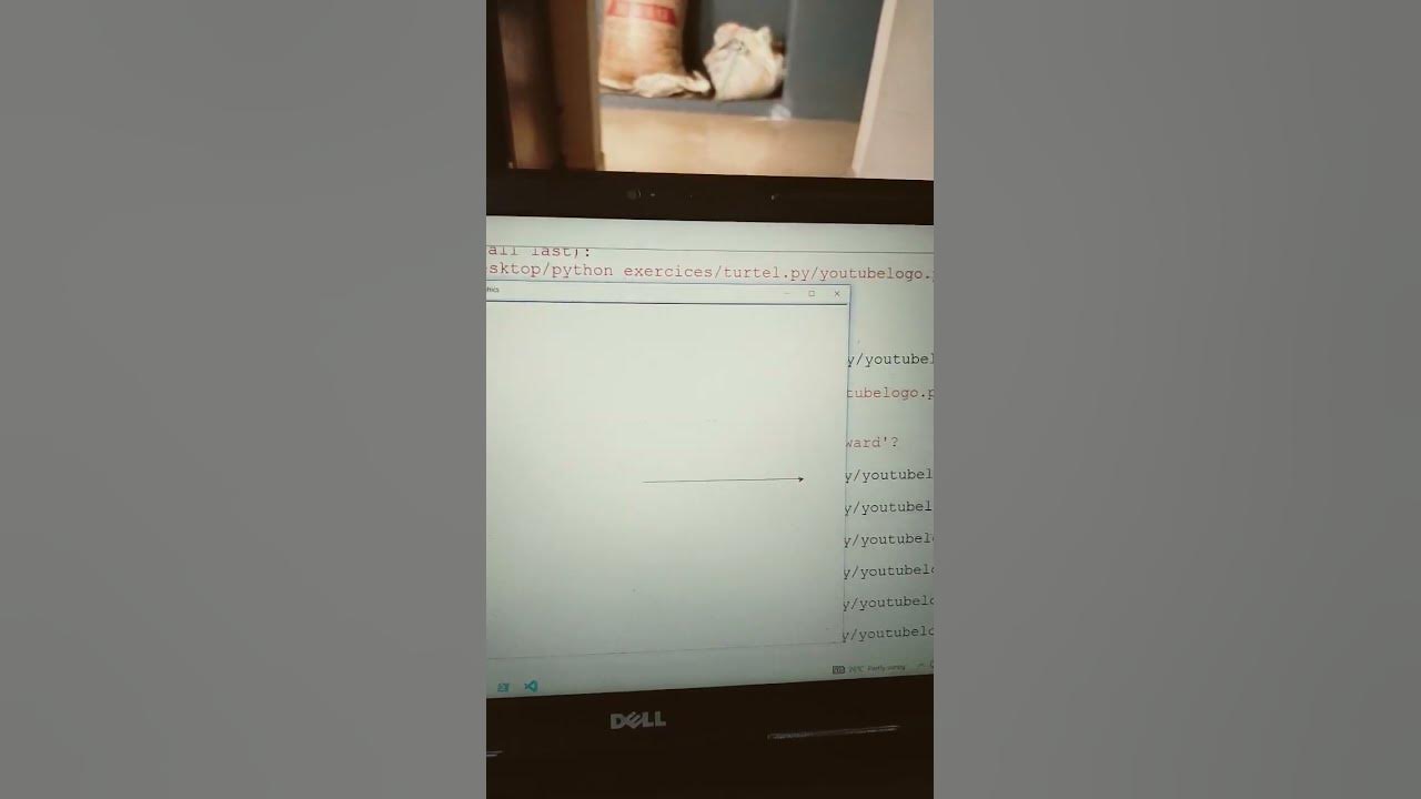 create YouTube logo using turtle in ####python - YouTube