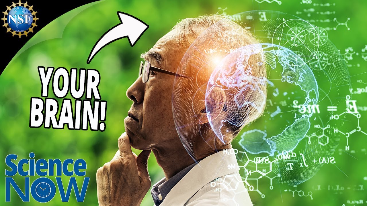 [AI] Predicting Diseases - YouTube