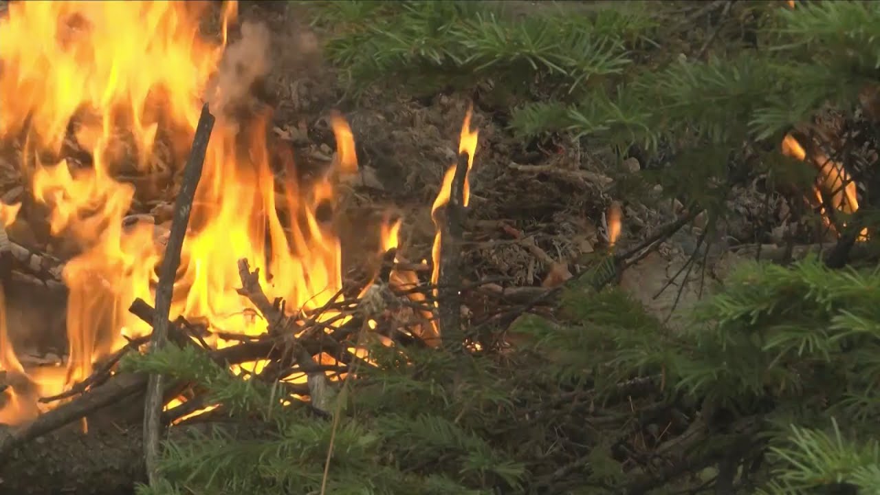 Firefighters exhausted as they protect homes from Creek Fire ...