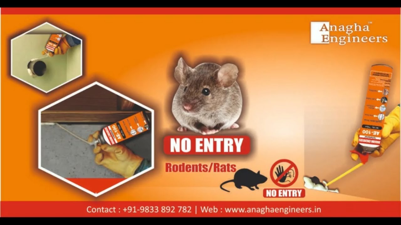 Stop pests from entering your homes- No entry for rodents, insects etc ...