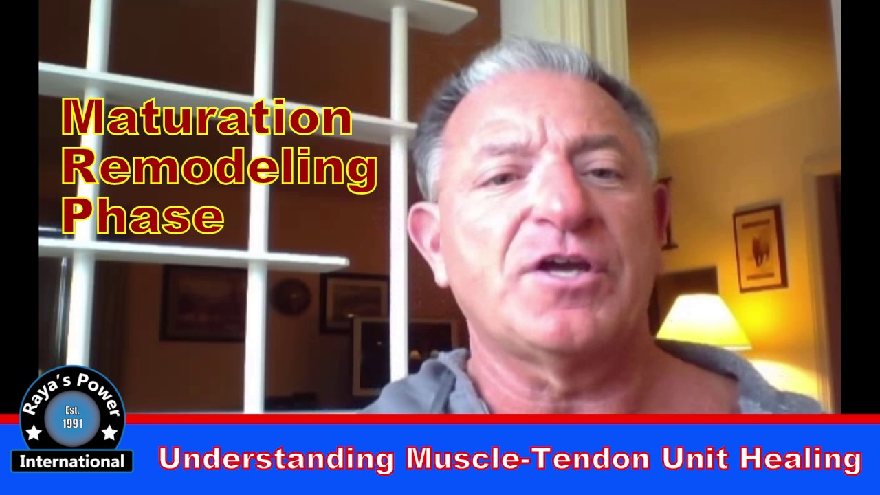 Understanding Muscle-Tendon Unit Healing - YouTube