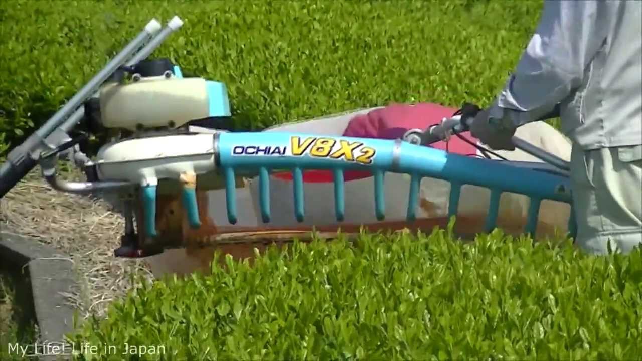 Green Tea in Japan - Cutting Machine / 茶刈り機 - YouTube