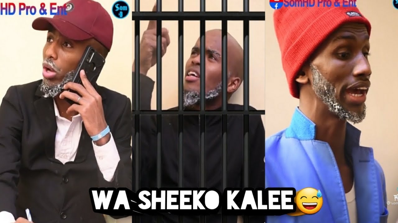 WAA SHEEKO KALE | TEAM MARQAAN | SOMALI TIKTOK 2021 - YouTube