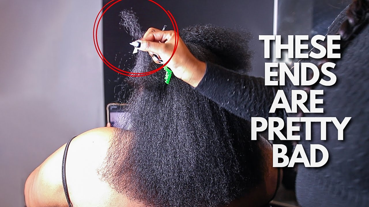 A Year After A No Oils No Butters Stylist Tried to Ruin My Type 4 ...