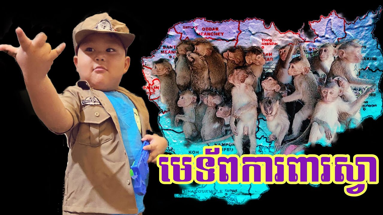 គេចាប់ស្វាលក់ Cambodia Sell Monkey - YouTube