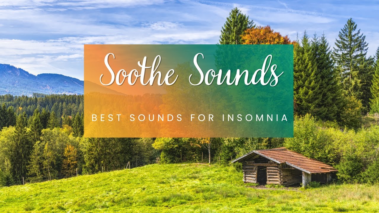 Forget About Daily Stress And Listen To Ambience Country Sounds | Beat ...