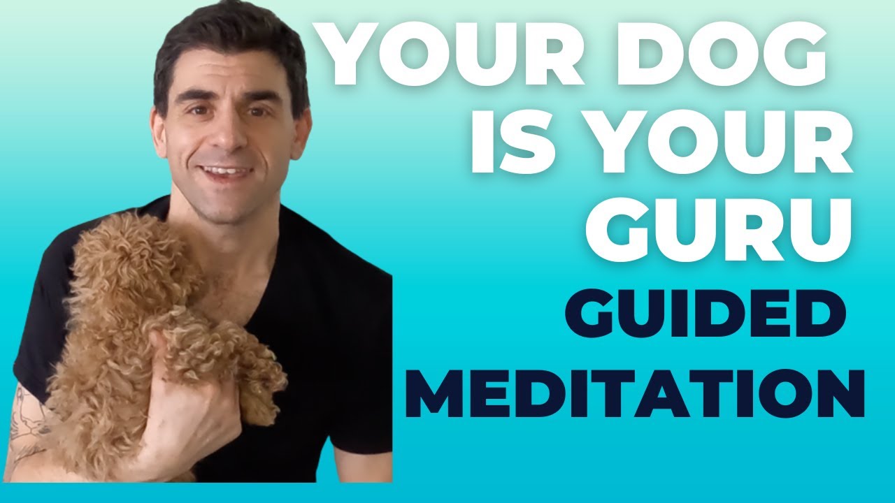 Ten Minute Guided Meditation - With your Dog! - YouTube