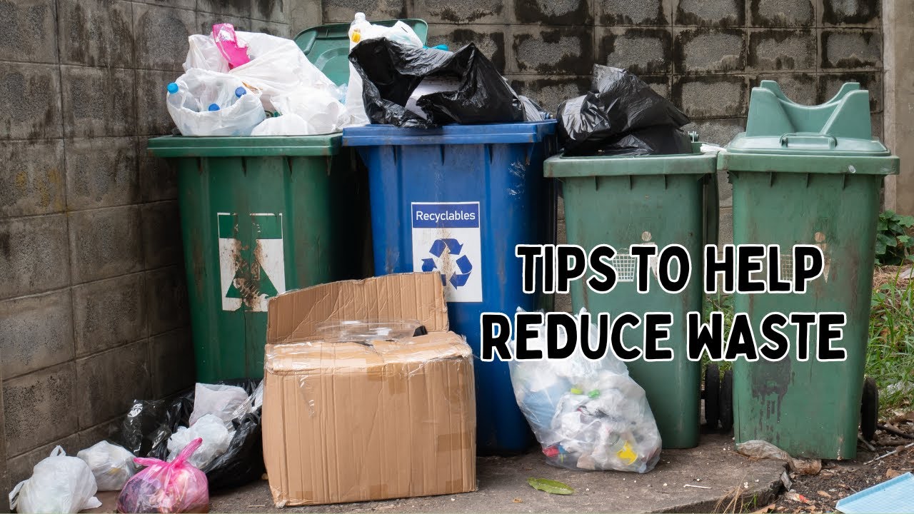 Unraveling The Mystery: Can Trash Truly Disappear - YouTube