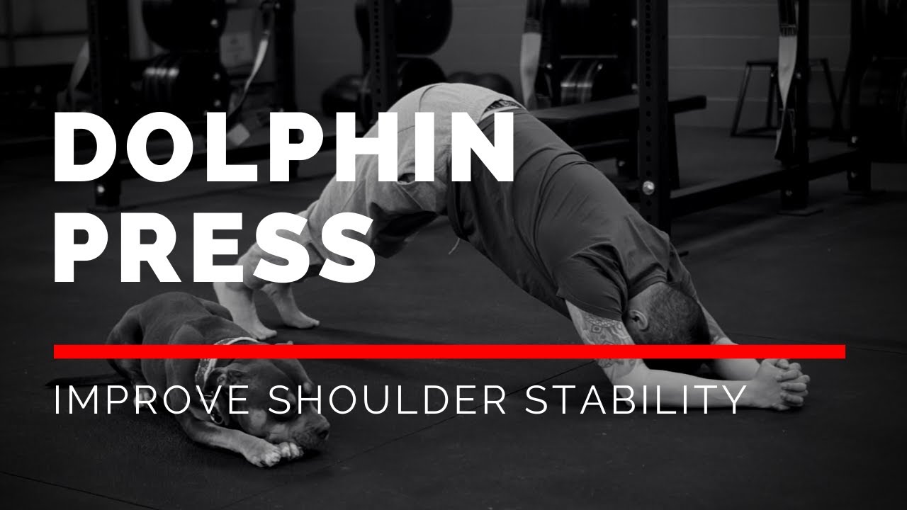 Dolphin Press (SHOULDER STRENGTHENING EXERCISE) - YouTube