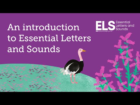 An introduction to Essential Letters and Sounds | Glasp