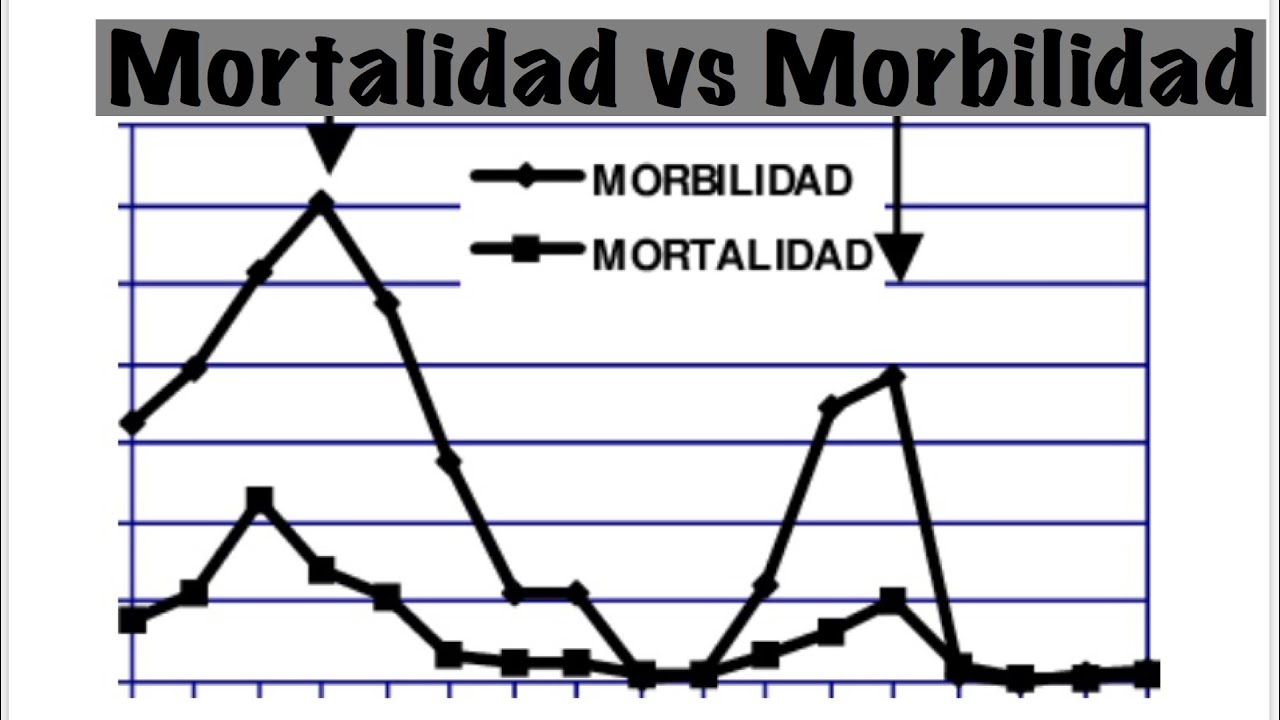 Mortalidad vs Morbilidad (efectos del Covid 19) YouTube