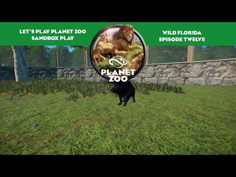 WILD FLORIDA WILDLIFE PARK| PLANET ZOO SANDBOX MODE | EPISODE 12 - YouTube