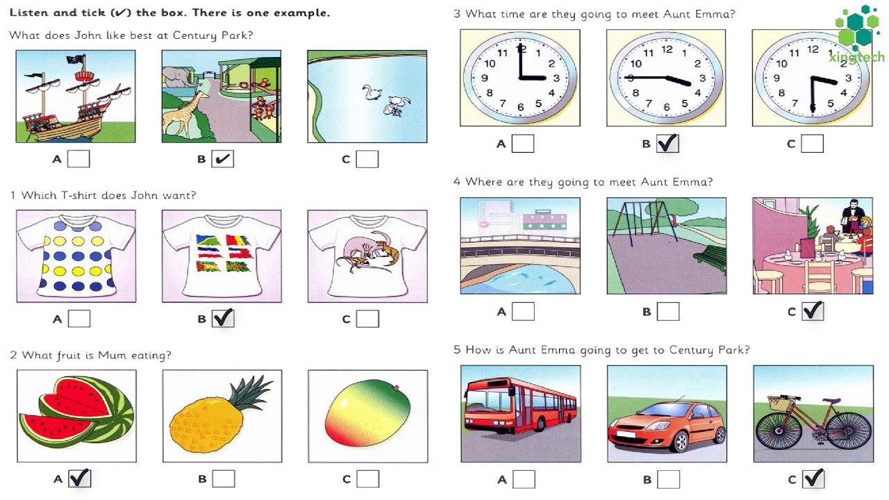 Flyers 8 - Test 3 - Part 4 - Listening with Answer Booklet - YouTube
