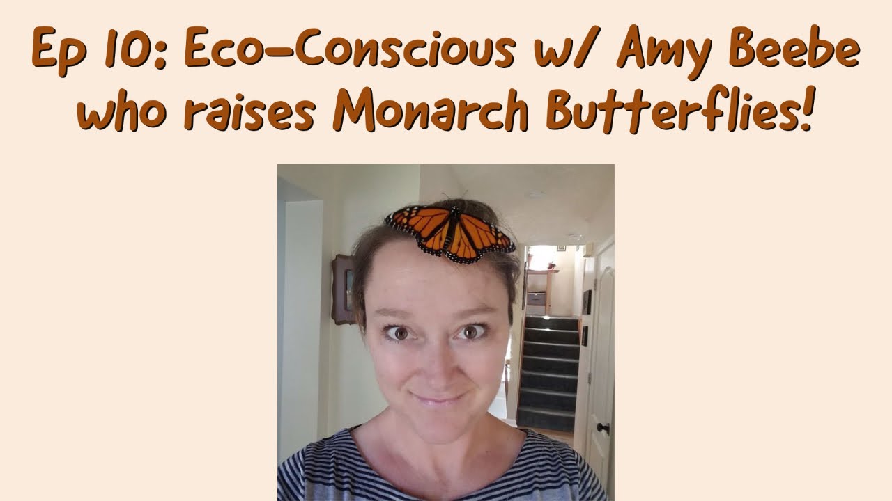 Eco-Conscious w/ Amy Beebe who raises Monarch Butterflies! - YouTube