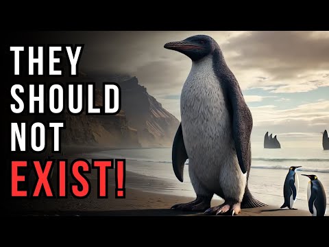 The World After Dinosaurs Had Giant Penguins