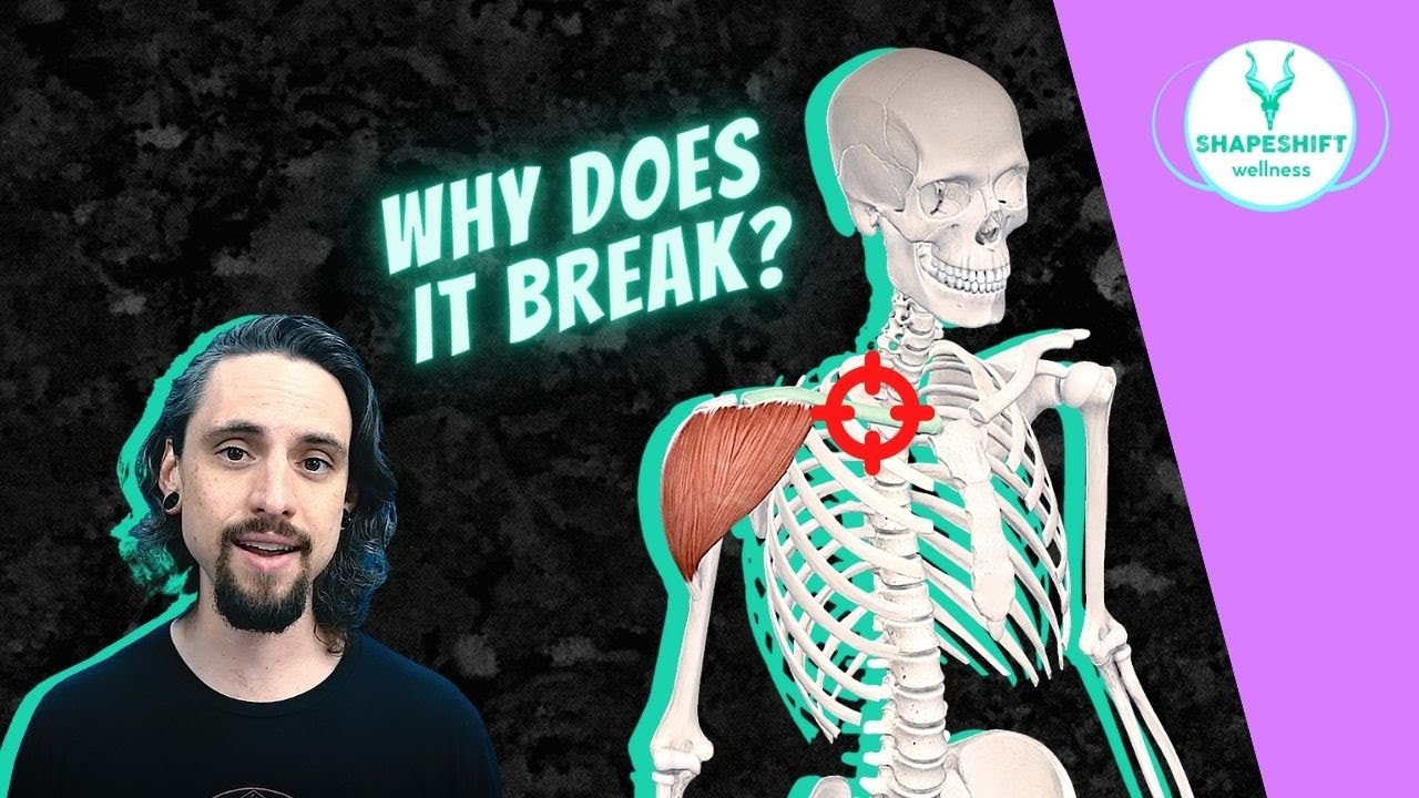 MOST COMMON BONE FRACTURE | Anatomy Lesson - YouTube
