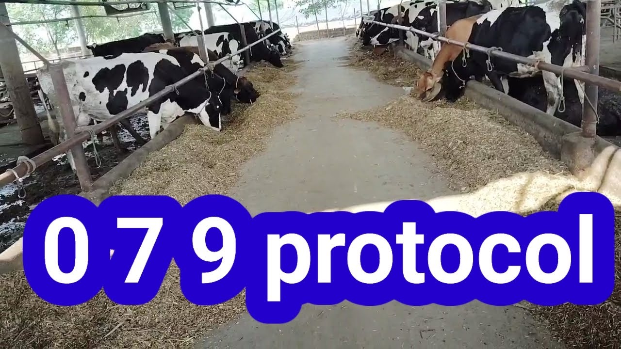 079 gpg protocol full details - YouTube