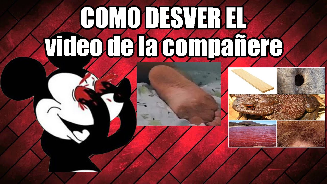 COMO DESVER EL VIDEO de la COMPAÑERE | Especial 600 - YouTube