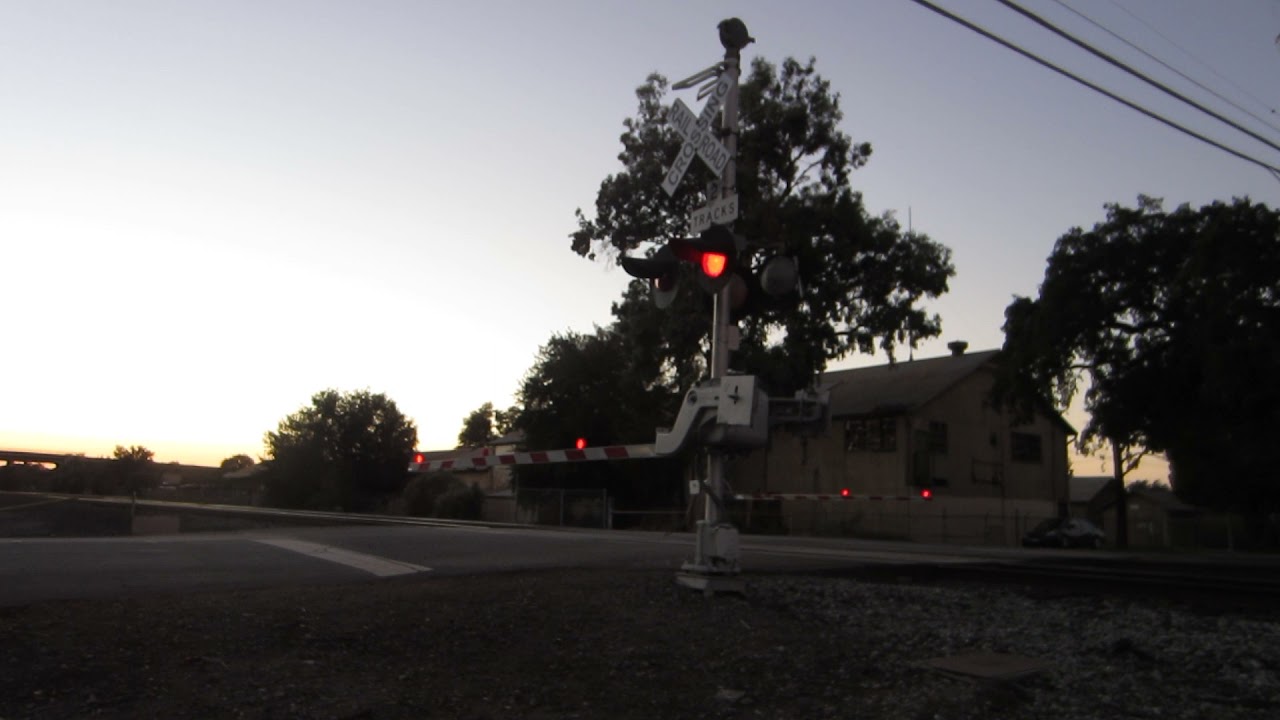 ACEX 3308 Leads ACE 6 At Shinn Street! | Catches Of November 2021 - YouTube