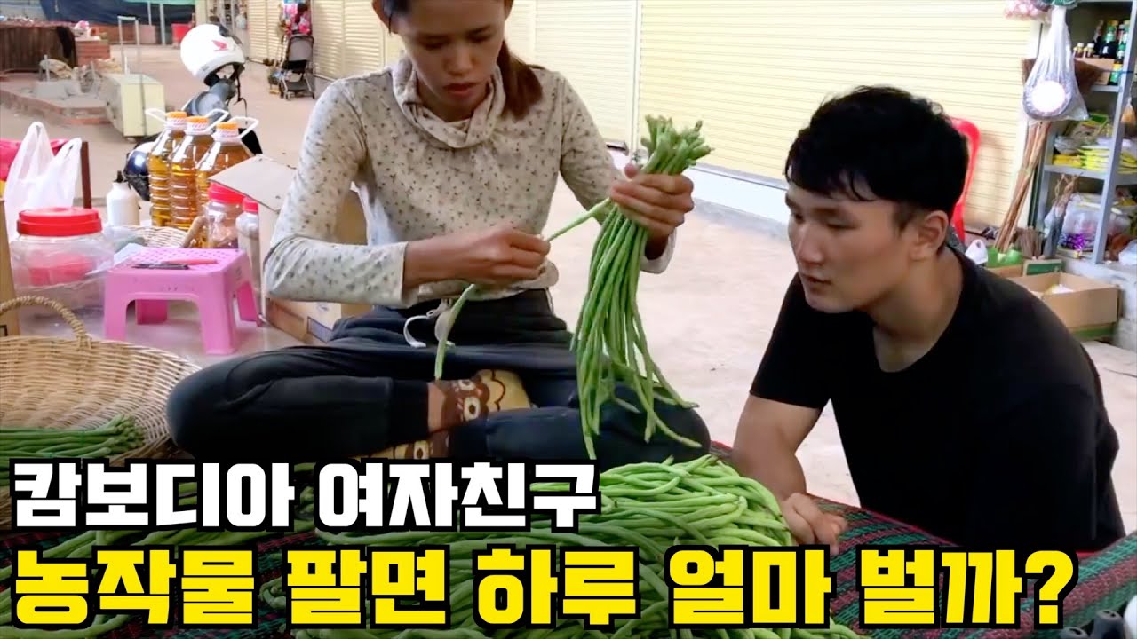 캄보디아 여자친구네 농작물 수확하는 날 Youtube