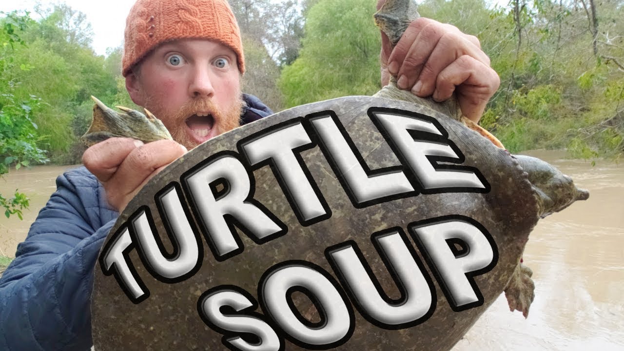 Catch And Cook Giant Soft Shell Turtle Day 11 Of 30 Day Survival ...