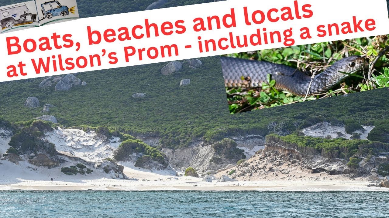 Boats, Beaches, and Locals at Wilson's Prom - Part 3 - YouTube