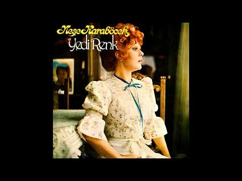 Neşe Karaböcek - Gece Yaman Uzundur