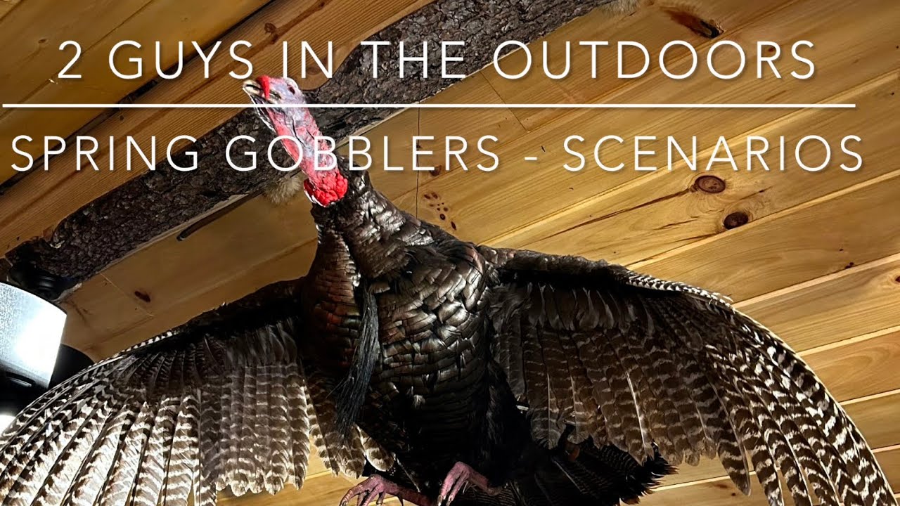 10 - Spring Gobblers - How to set up for different Hunting Scenarios ...