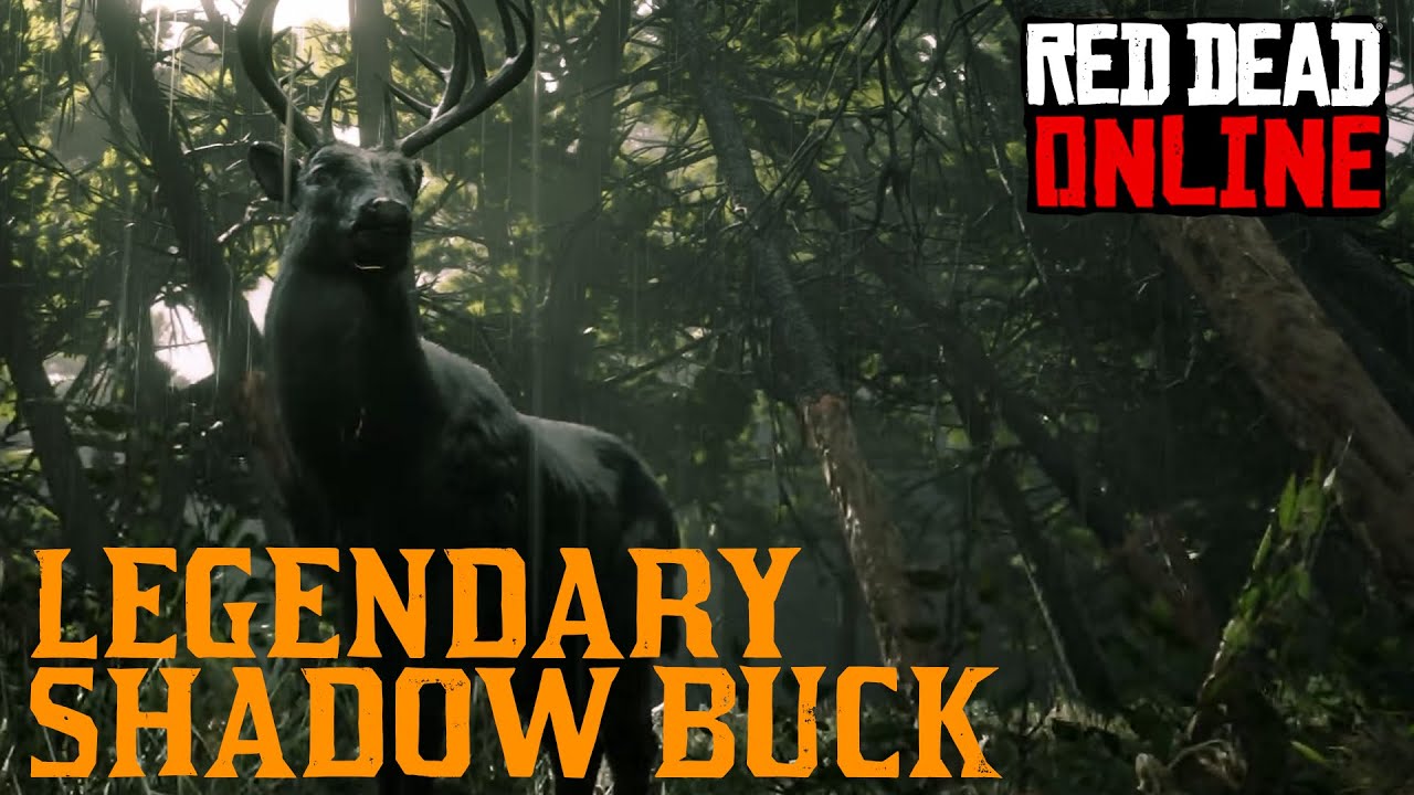 Red Dead Online: New Legendary Shadow Buck - YouTube